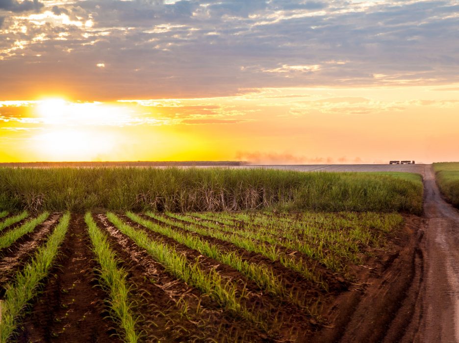 Our expertise serving the quality of our products - Tereos - Tereos