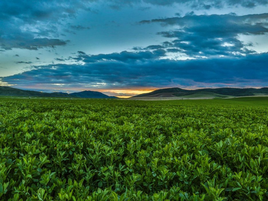 Our expertise serving the quality of our products - Tereos - Tereos