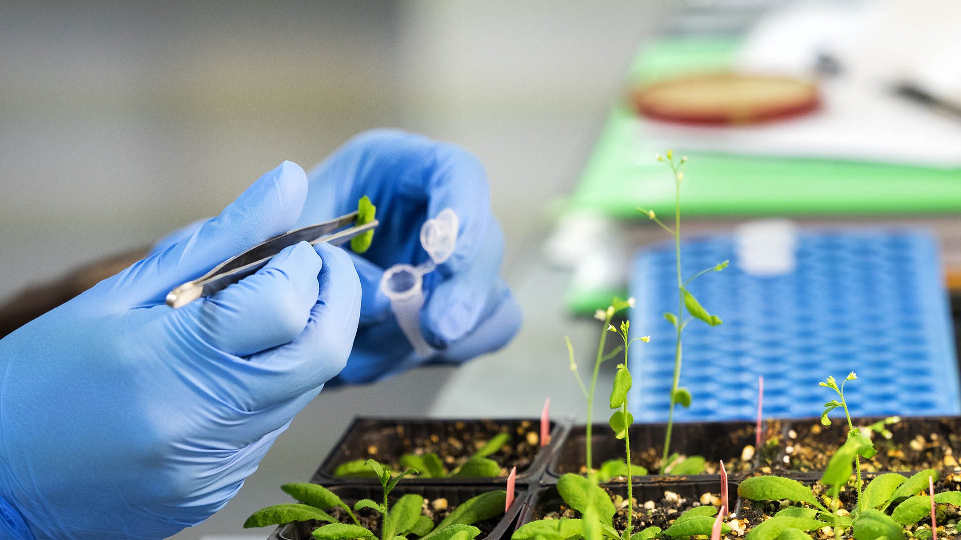 Chimie verte - Tereos - Tereos