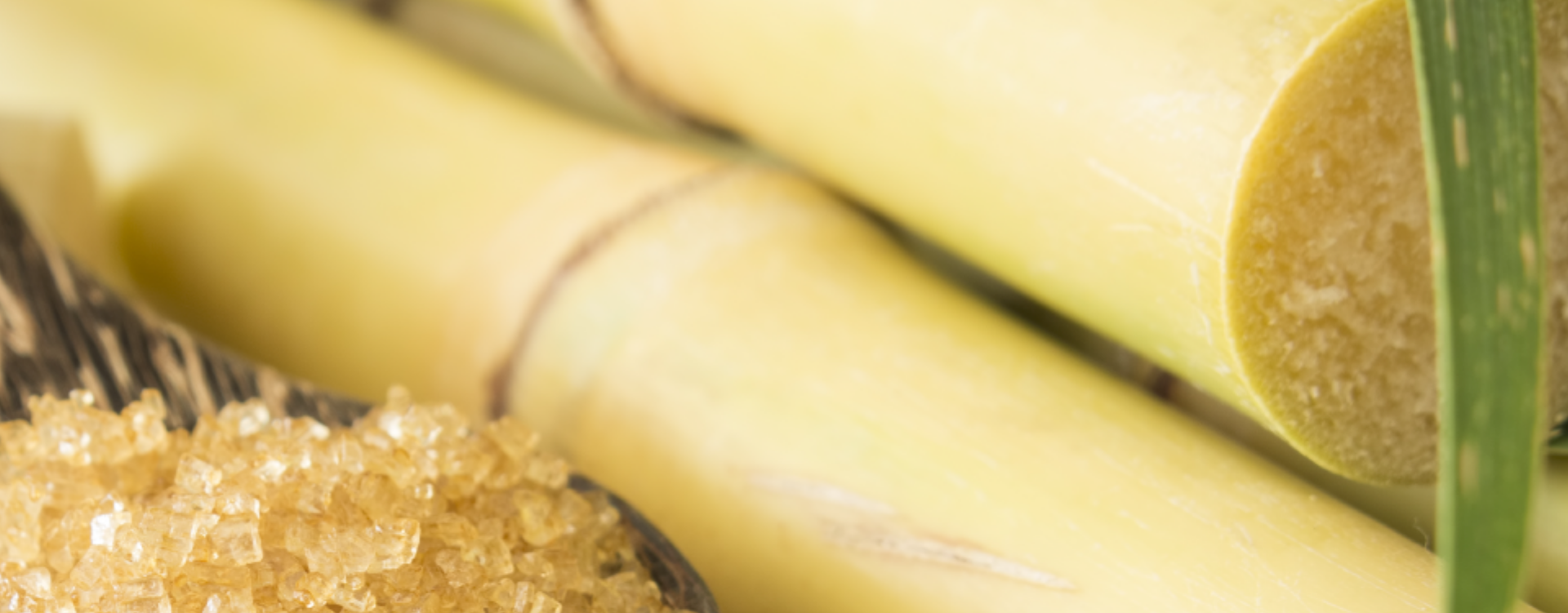 Our speciality sugars at the heart of product reformulations - Tereos ...