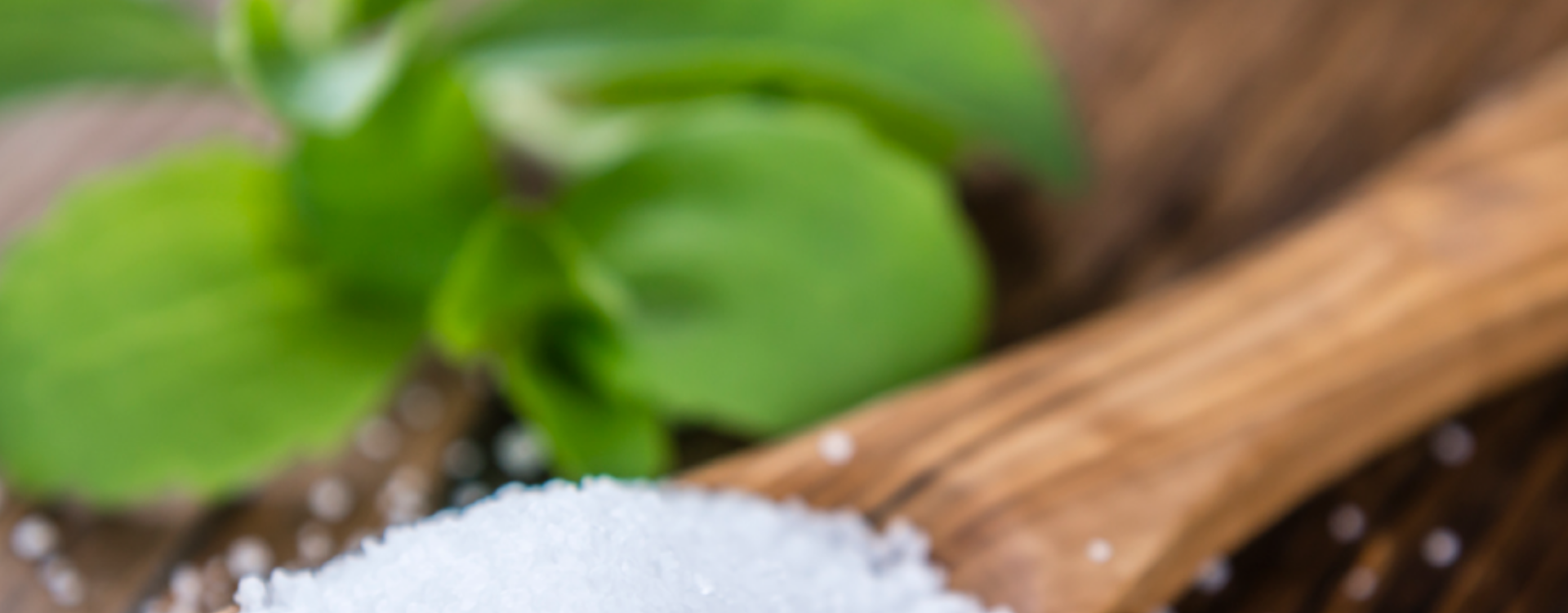 New benefits of Tereos-produced fibres revealed - Tereos - Tereos