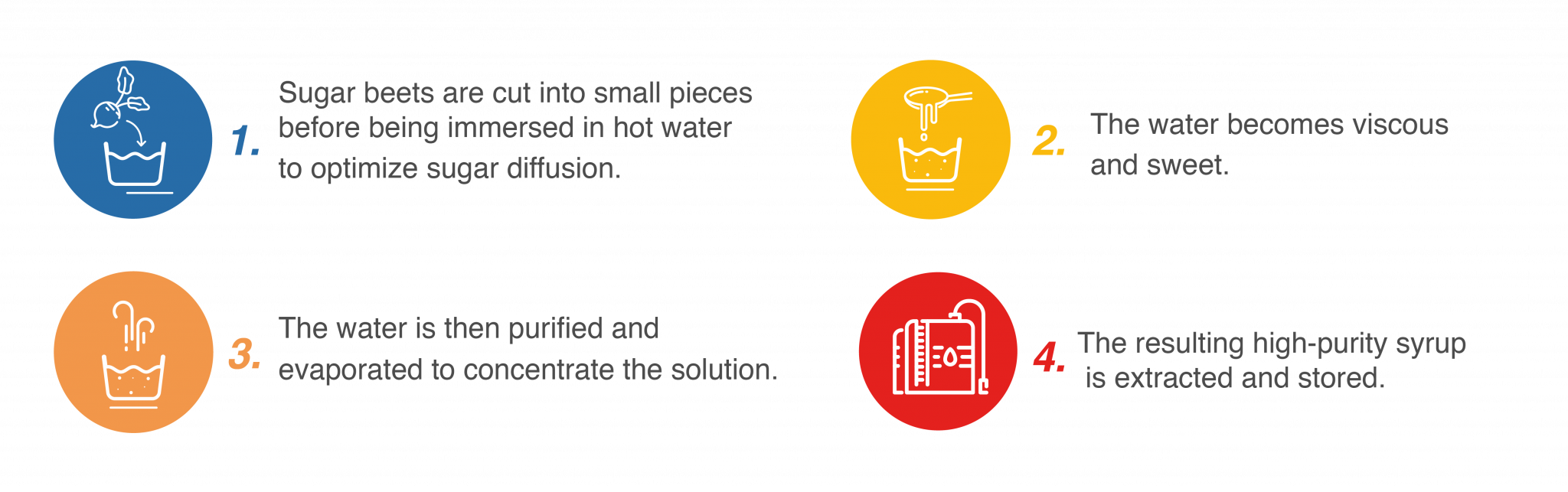 High-Purity Sugar Beet Syrup at Tereos France - Tereos - Tereos