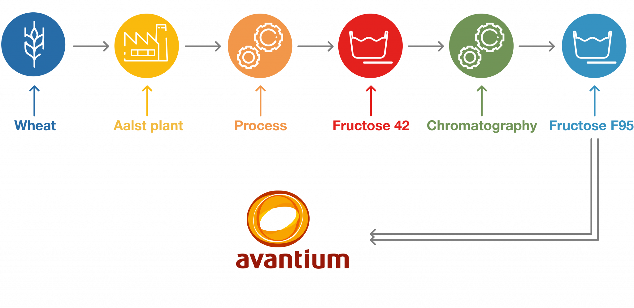 How our fructose can be turned into "green" packaging - Tereos - Tereos