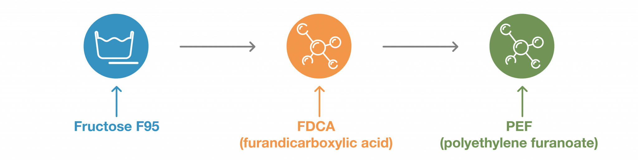 How our fructose can be turned into "green" packaging - Tereos - Tereos