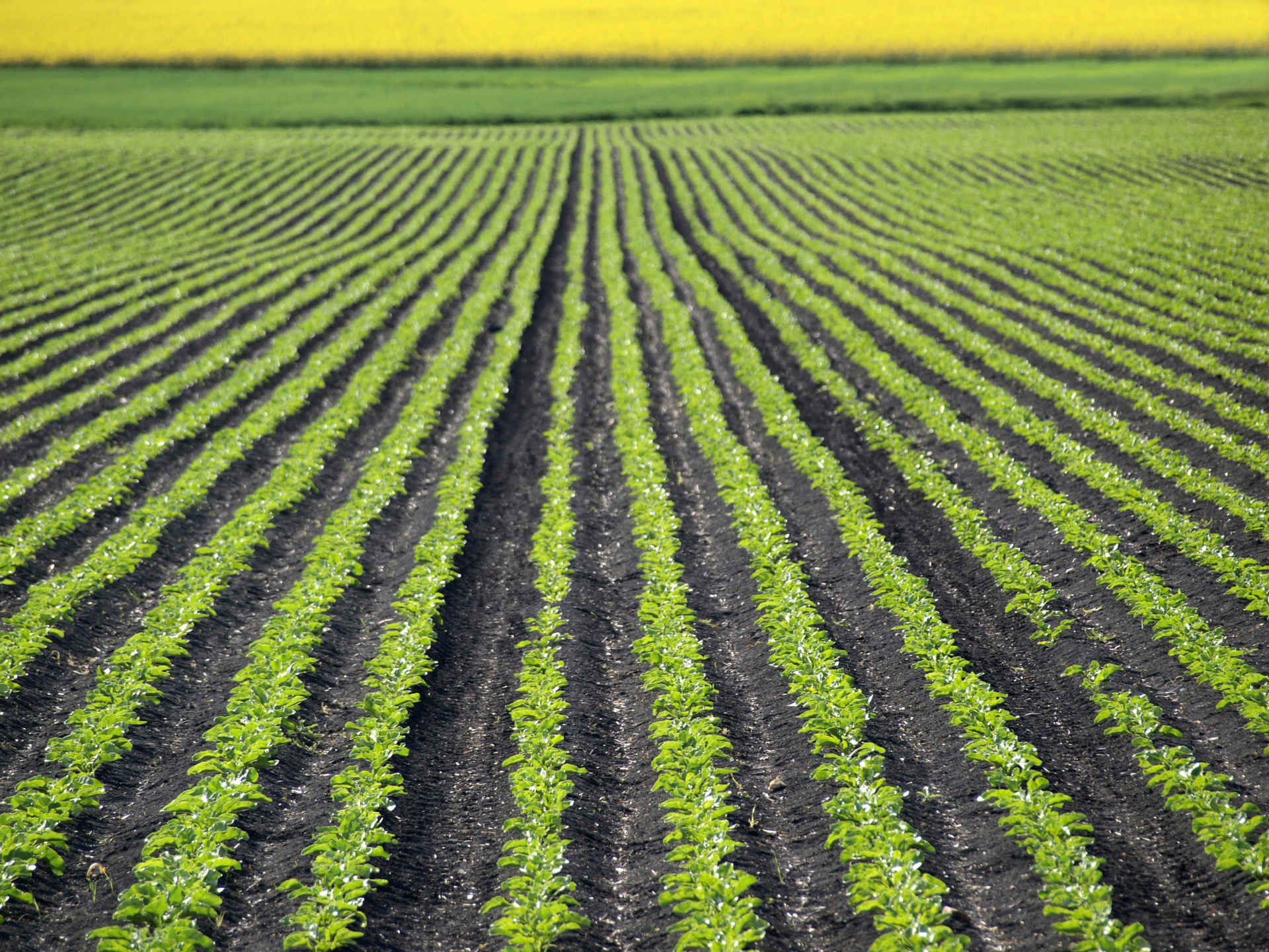 Third-quarter 2021/22: Improved results - Tereos - Tereos