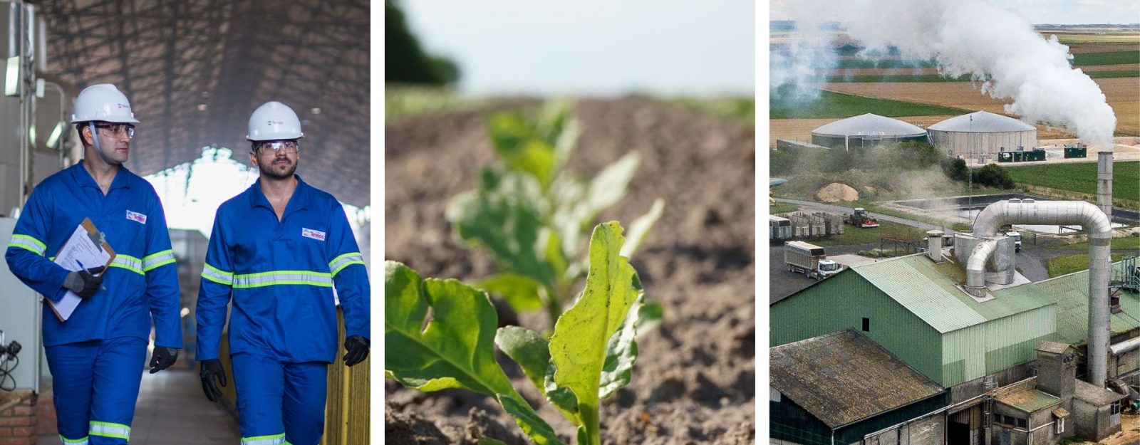 Discover the 2021/22 annual report - Tereos - Tereos