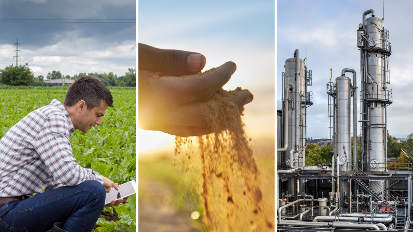 Nos actualités - Tereos - Tereos