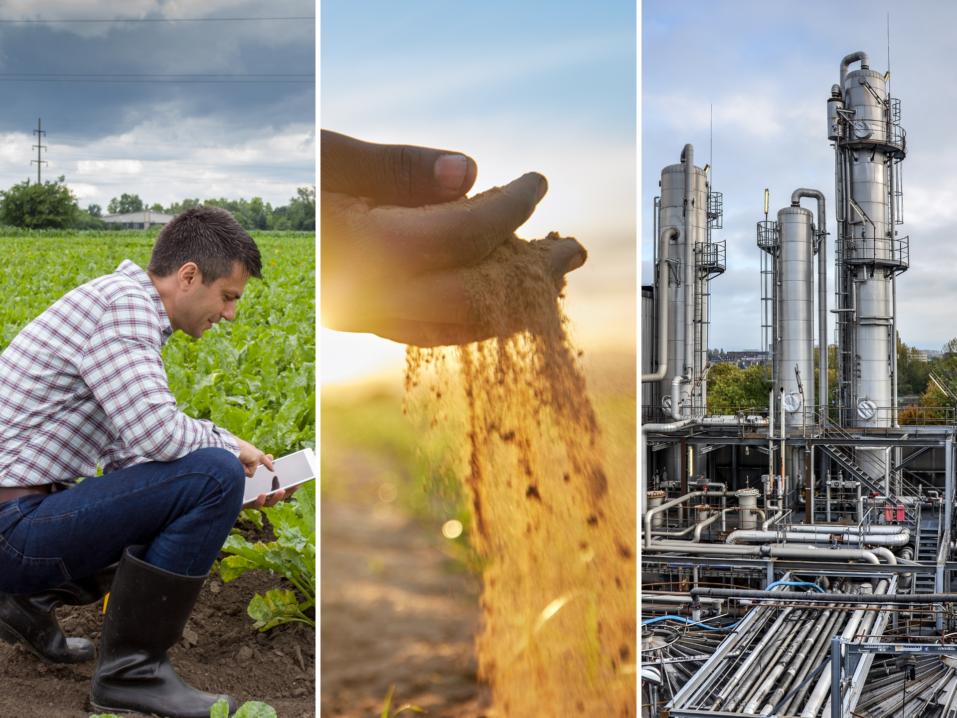 Discover our 2022/23 annual report - Tereos - Tereos