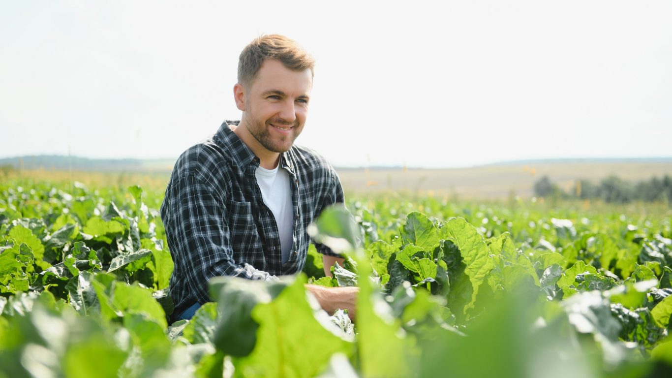 History - Tereos - Tereos