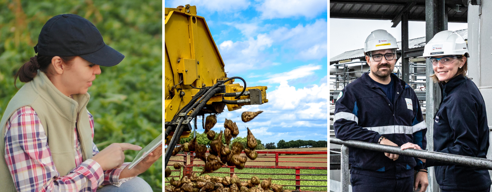 Tereos targets net zero emissions throughout the value chain - Tereos ...