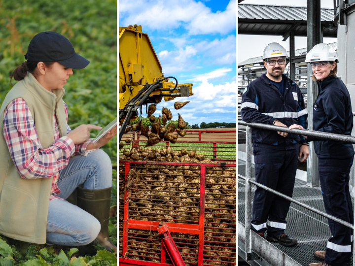 Tereos - Cooperative sugar group in France - Tereos