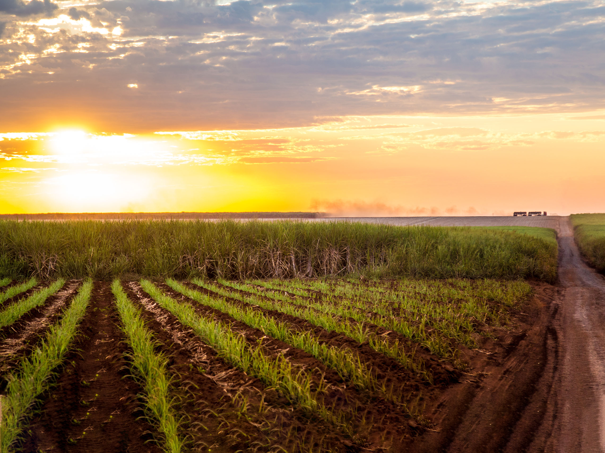 Tereos Brasil - Sustentabilidade - Brasil