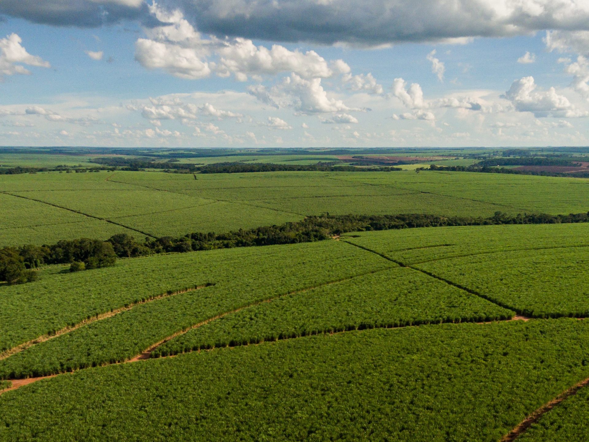 Tereos Açúcar & Energia - Brasil - Brasil
