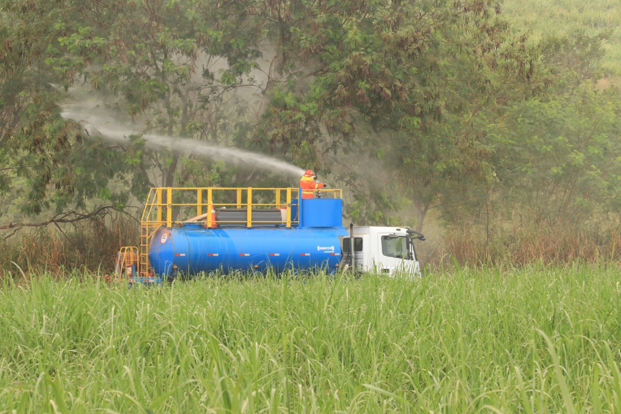 Tereos realiza simulado de combate a incêndio e inicia campanha de ...