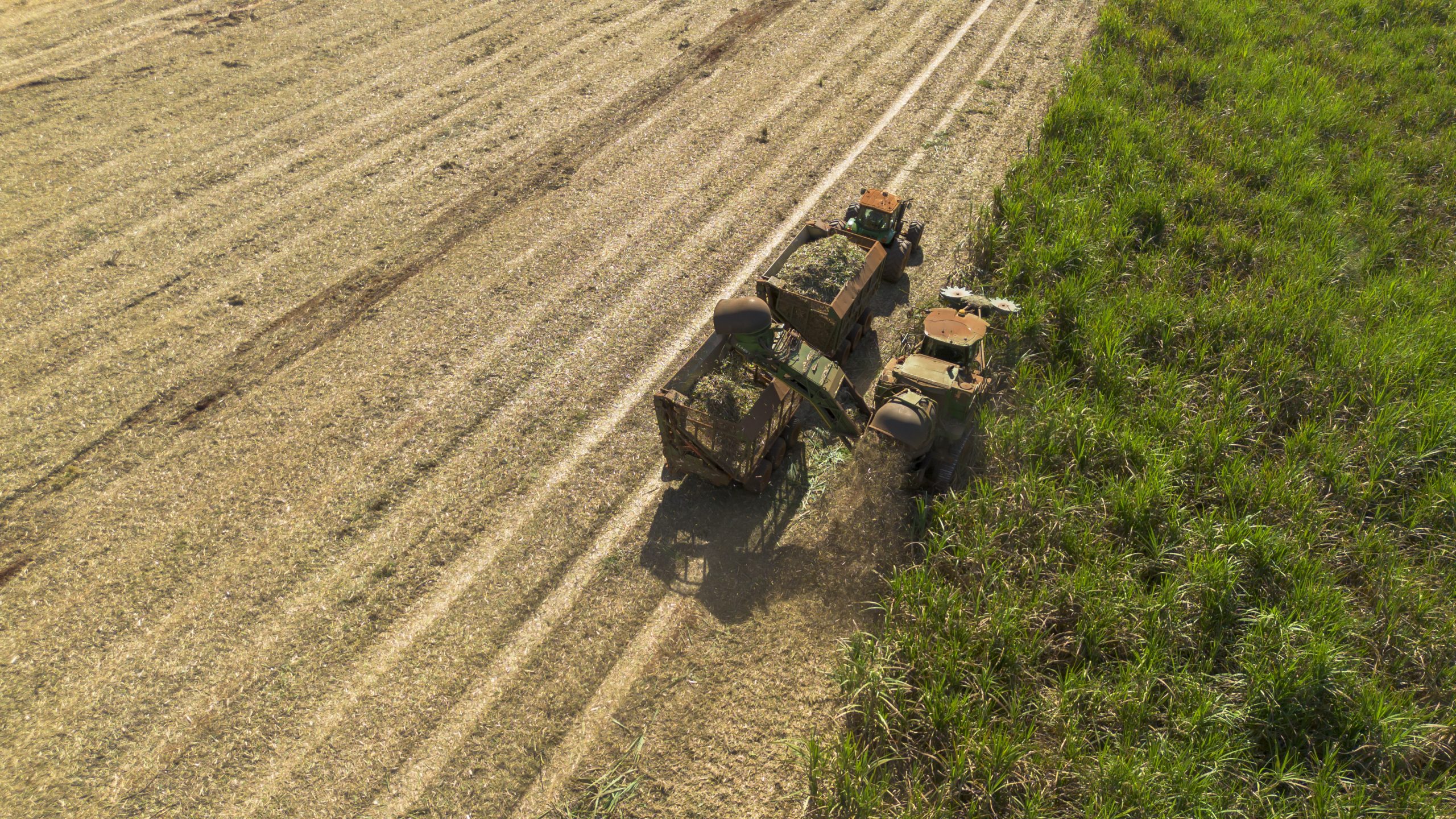 Tereos se torna primeiro produtor mundial de açúcar e amido a receber ...